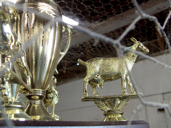 Inflexions 7: Animating Biophilosophy: Adam Zaretsky