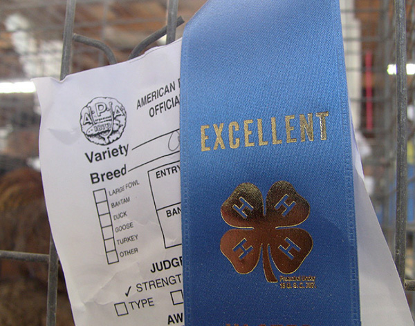 Inflexions 7: Animating Biophilosophy: Adam Zaretsky