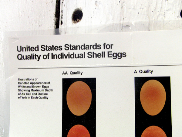 Inflexions 7: Animating Biophilosophy: Adam Zaretsky