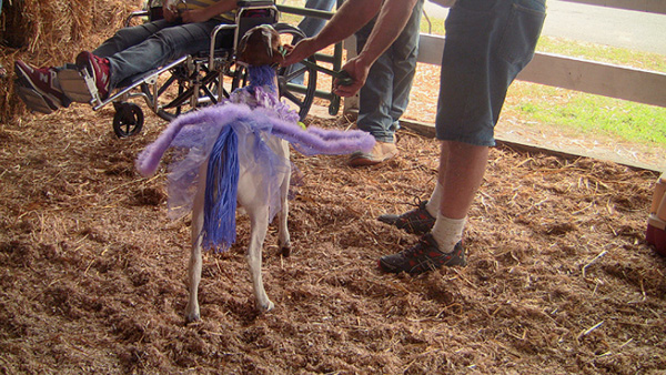 Inflexions 7: Animating Biophilosophy: Adam Zaretsky