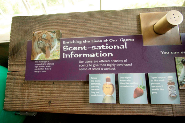 Inflexions 7: Animating Biophilosophy: Adam Zaretsky