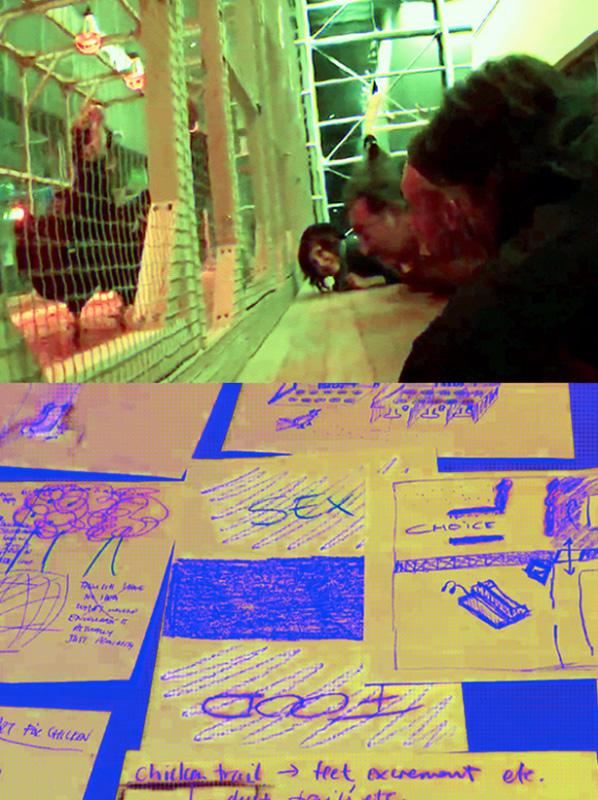 Inflexions 7: Animating Biophilosophy: Adam Zaretsky